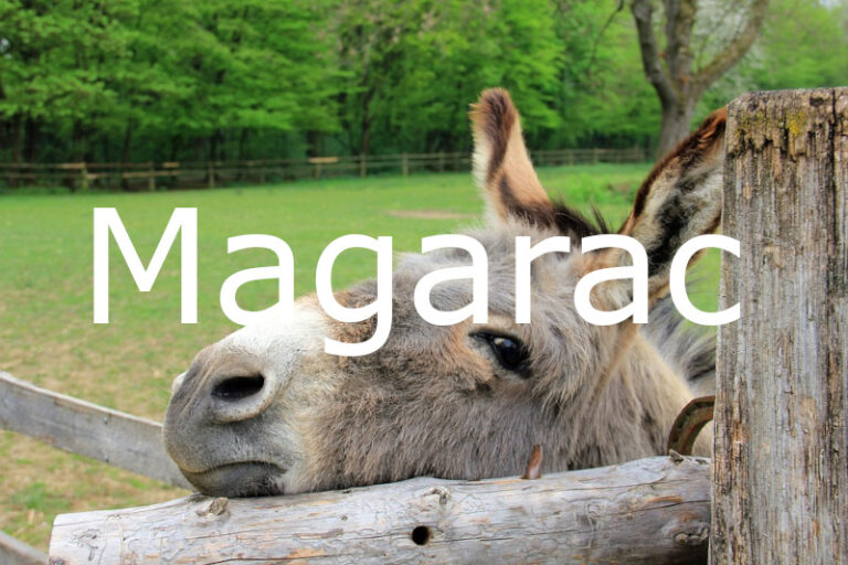Magarac Pravila igre